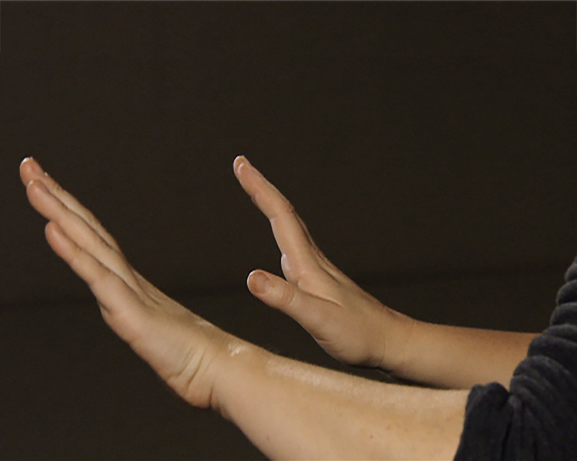 16 Traumstücke - Anette Rose